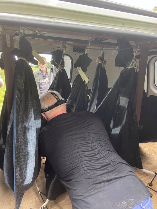 ABOUT RELOCATION: Transport - The Agile Project | Wildlife Rescue